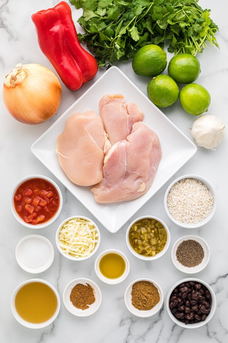 Cilantro Lime Chicken with Rice - Risa's Family Kitchen