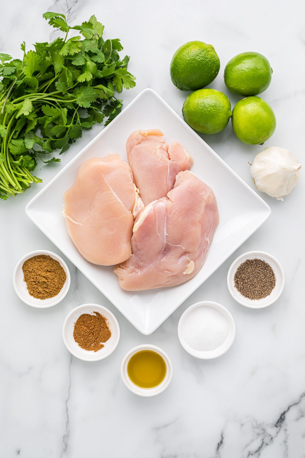 Cilantro Lime Marinade for Chicken - Risa's Family Kitchen