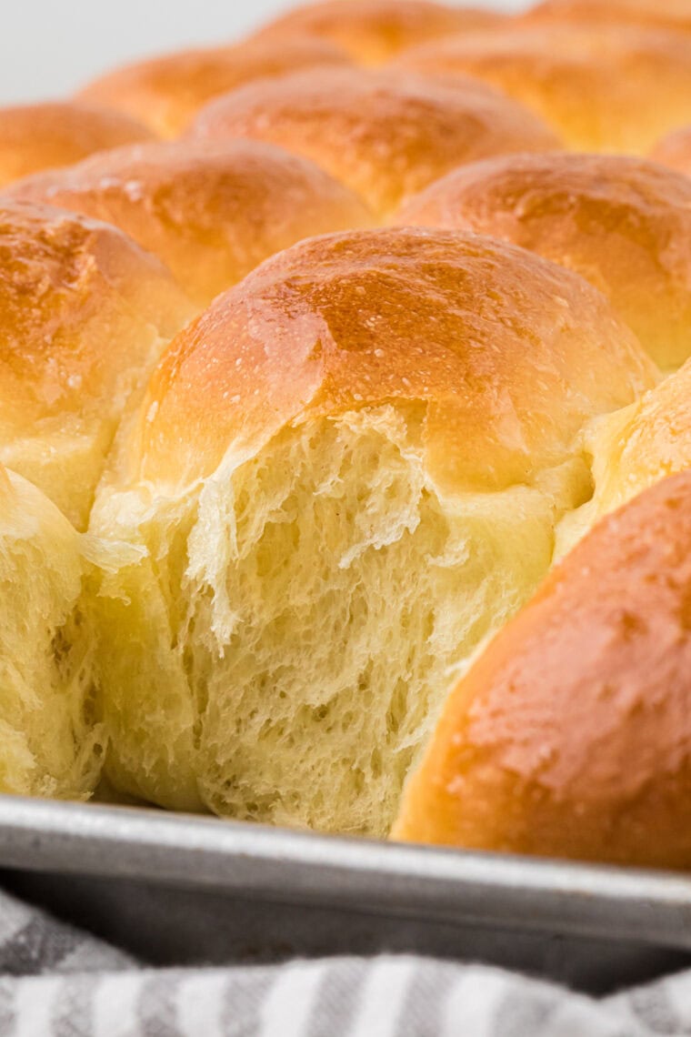 Big Soft Fluffy Dinner Rolls - Risa's Family Kitchen