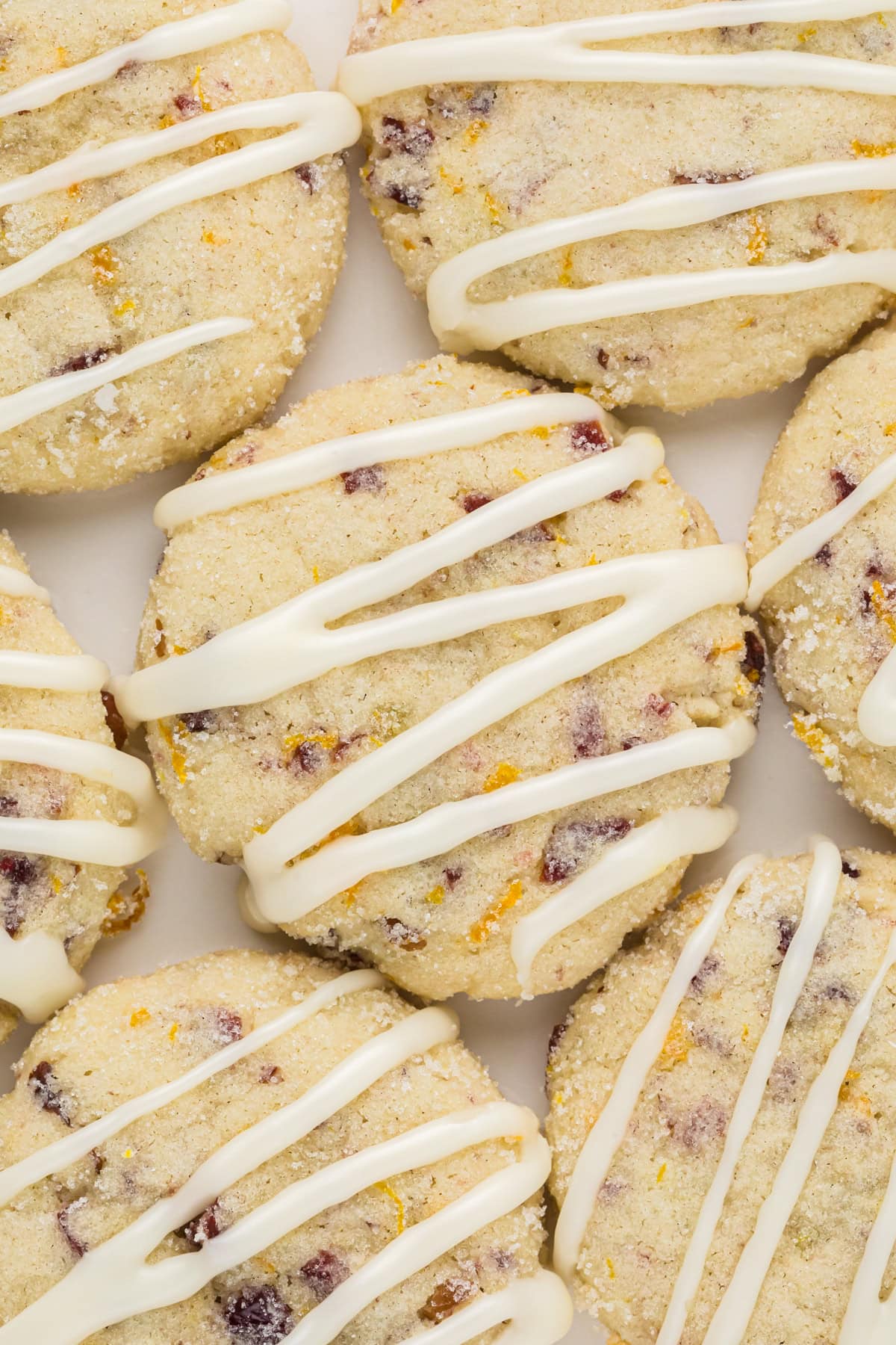Orange Cranberry Cookies with Icing - Risa's Family Kitchen